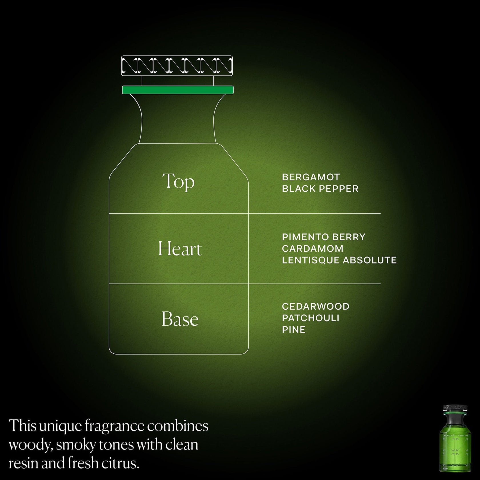 Forest Lungs | Anti-Stress Fragrance | The Nue Co. – The Nue Co.